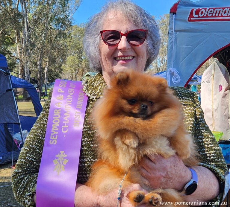 Denise Leo: The Heart and Soul Behind Dochlaggie Pomeranians